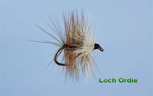 Loch Ordie Hackled Wet Fly - Fishing Flies with Fish4Flies Worldwide