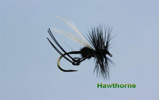 Hawthorne Fly - Fishing Flies with Fish4Flies Worldwide