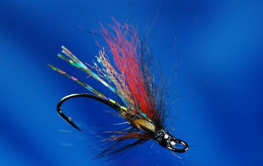 Temple Dog JC LWD Fly - Fishing Flies with Fish4Flies Worldwide