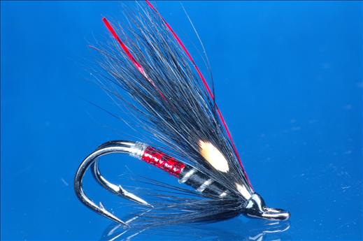 Holo Red Butt Fly - Fishing Flies with Fish4Flies Worldwide