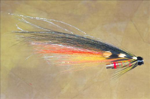 T-Rex Fly - Fishing Flies with Fish4Flies Worldwide