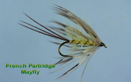 French Partridge Mayfly Fly - Fishing Flies with Fish4Flies Worldwide