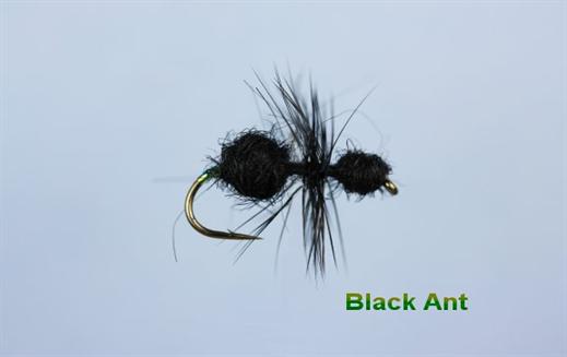 Black Ant Fly - Fishing Flies with Fish4Flies Worldwide