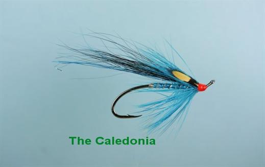 The Caledonia Fly - Fishing Flies with Fish4Flies Worldwide