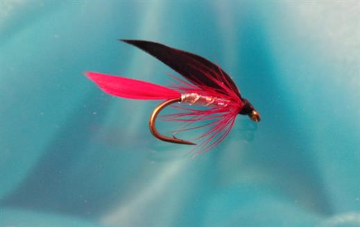 Bloody Butcher Fly - Fishing Flies with Fish4Flies UK