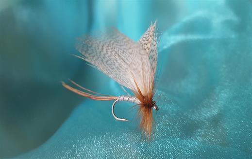 Grey Drake Mayfly Fly - Fishing Flies with Fish4Flies Worldwide