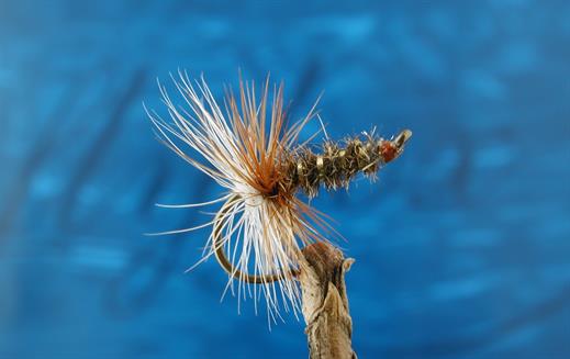 Leckford Professor Fly - Fishing Flies with Fish4Flies Worldwide