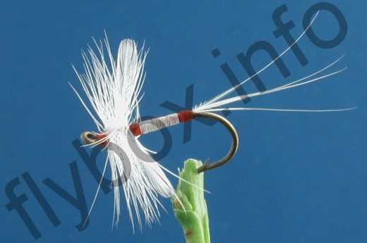 Jenny Spinner Fly - Fishing Flies with Fish4Flies Worldwide