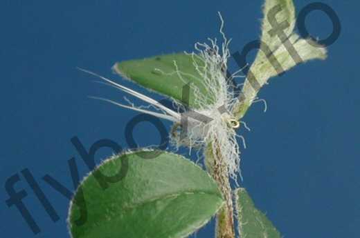 Hern's Caenis Dry Fly - Fishing Flies with Fish4Flies Worldwide