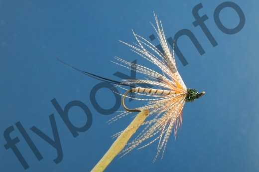 Straddle Bug Fly - Fishing Flies with Fish4Flies Worldwide