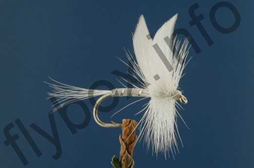White Miller Fly - Fishing Flies with Fish4Flies Worldwide