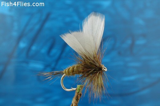 Colorado Green Drake Fly - Fishing Flies with Fish4Flies Worldwide