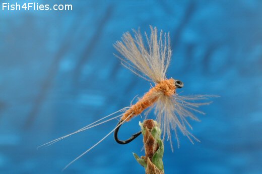 Andrew Ryan's Sherry Spinner Fly - Fishing Flies with Fish4Flies Worldwide