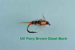 Trout > Nymphs > Diawl Bach Flies - Fishing Flies with Fish4Flies Worldwide