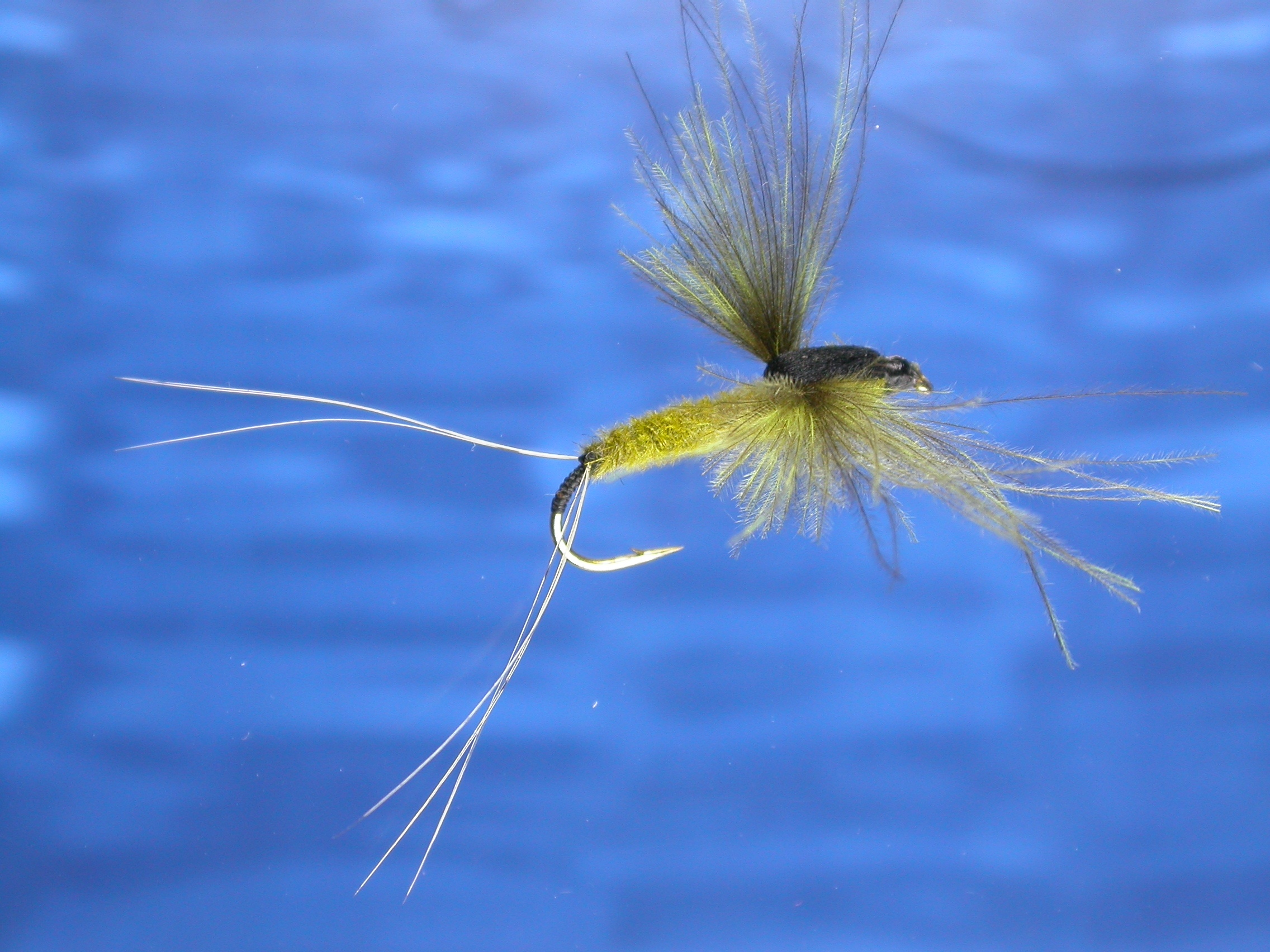 Olive Green Dun Fly - Fishing Flies with Fish4Flies Worldwide