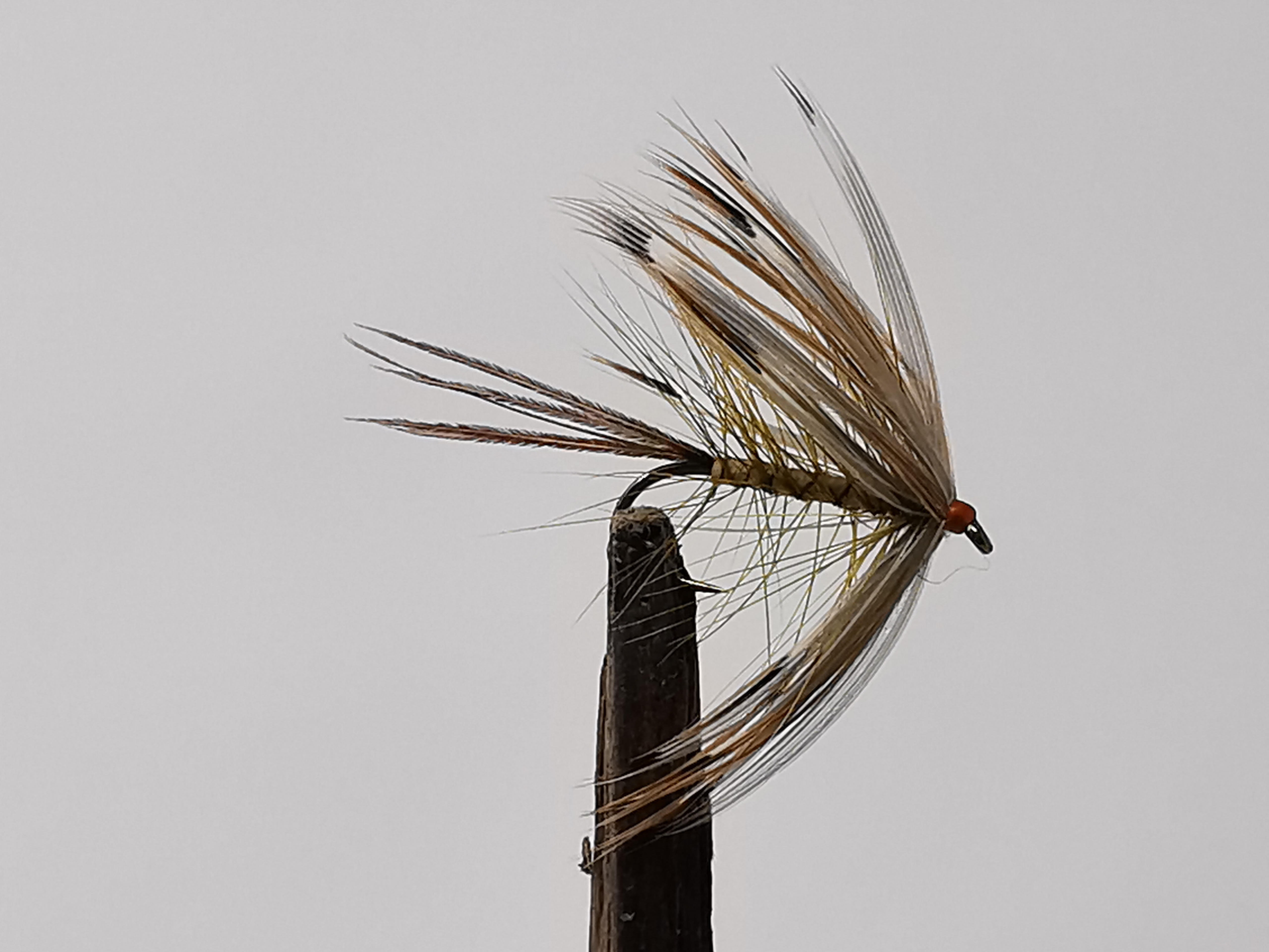 French Partridge Mayfly Fly - Fishing Flies with Fish4Flies Worldwide