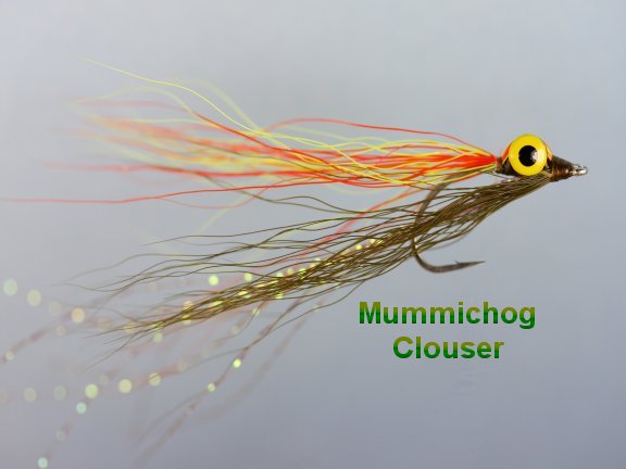 Mummichog Clouser Fly - Fishing Flies with Fish4Flies Worldwide