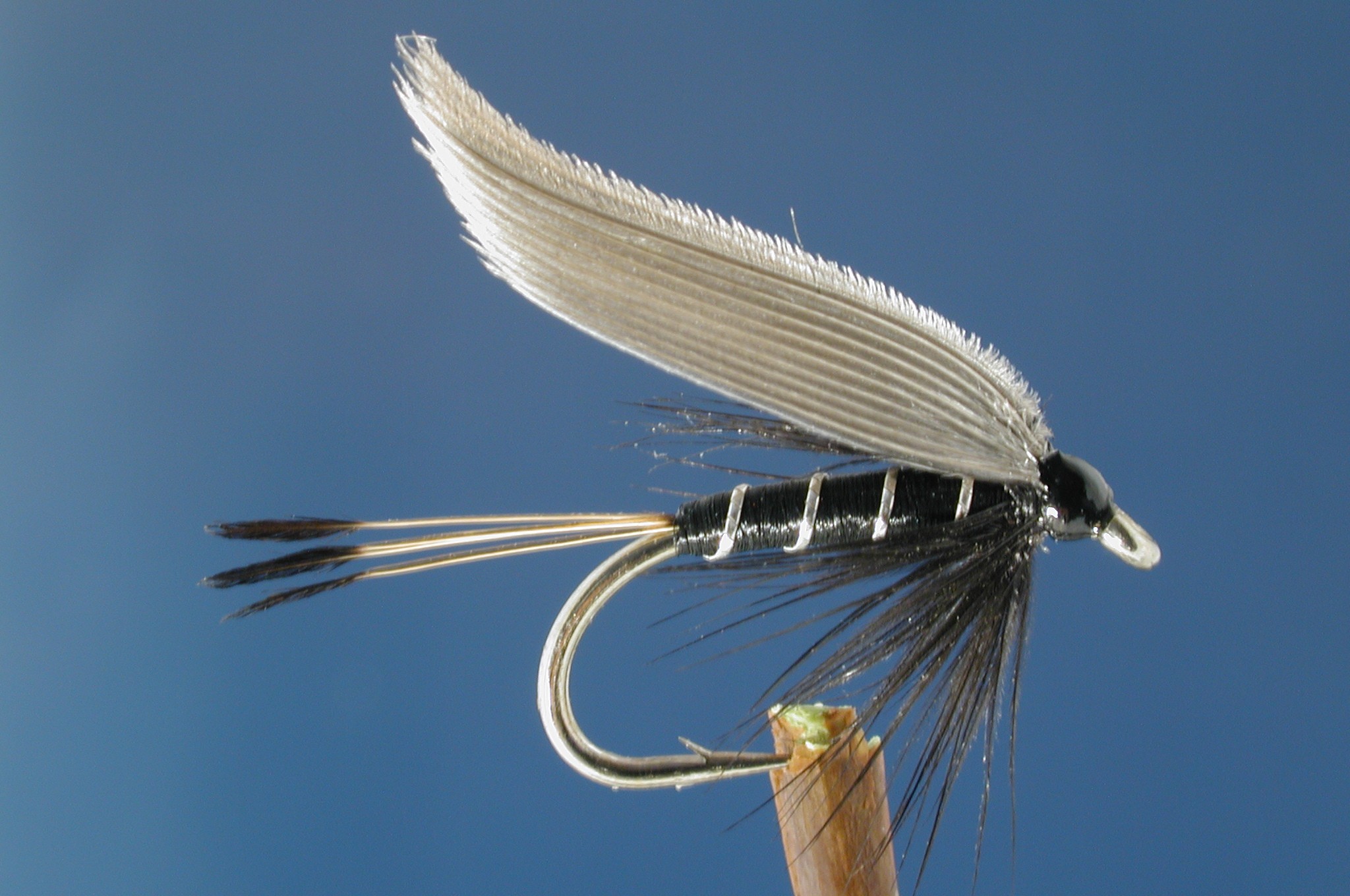 Blae & Black Fly - Fishing Flies with Fish4Flies Worldwide