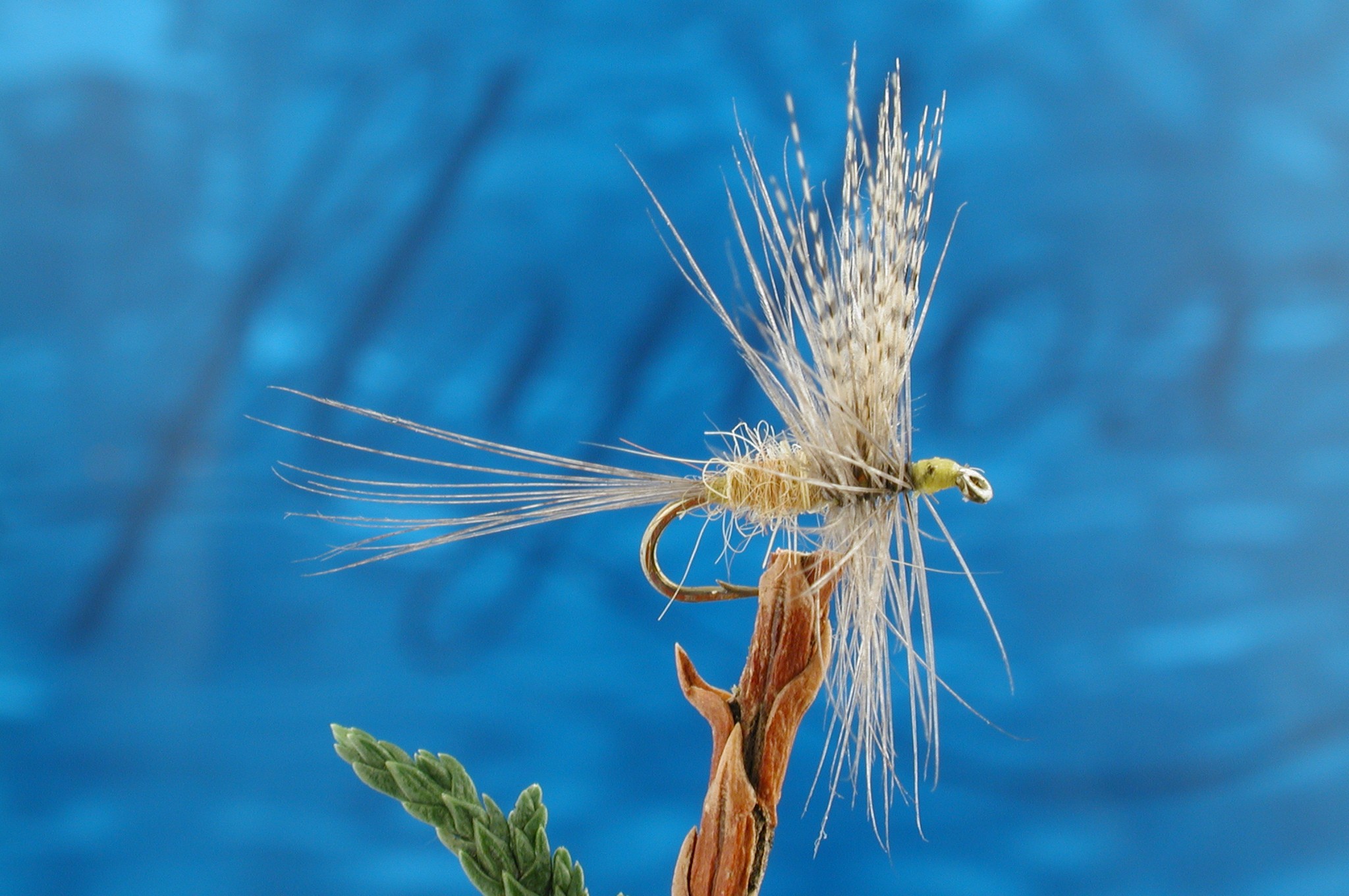 Ivor's Blue Winged Olive Fly - Fishing Flies with Fish4Flies Worldwide
